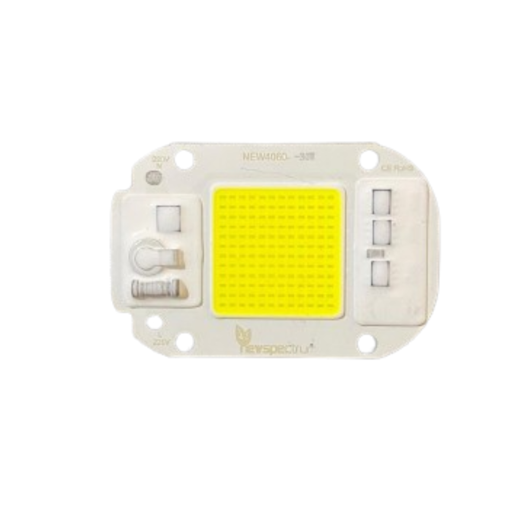 FLASH LIGHT CHIP - JJ Online shop